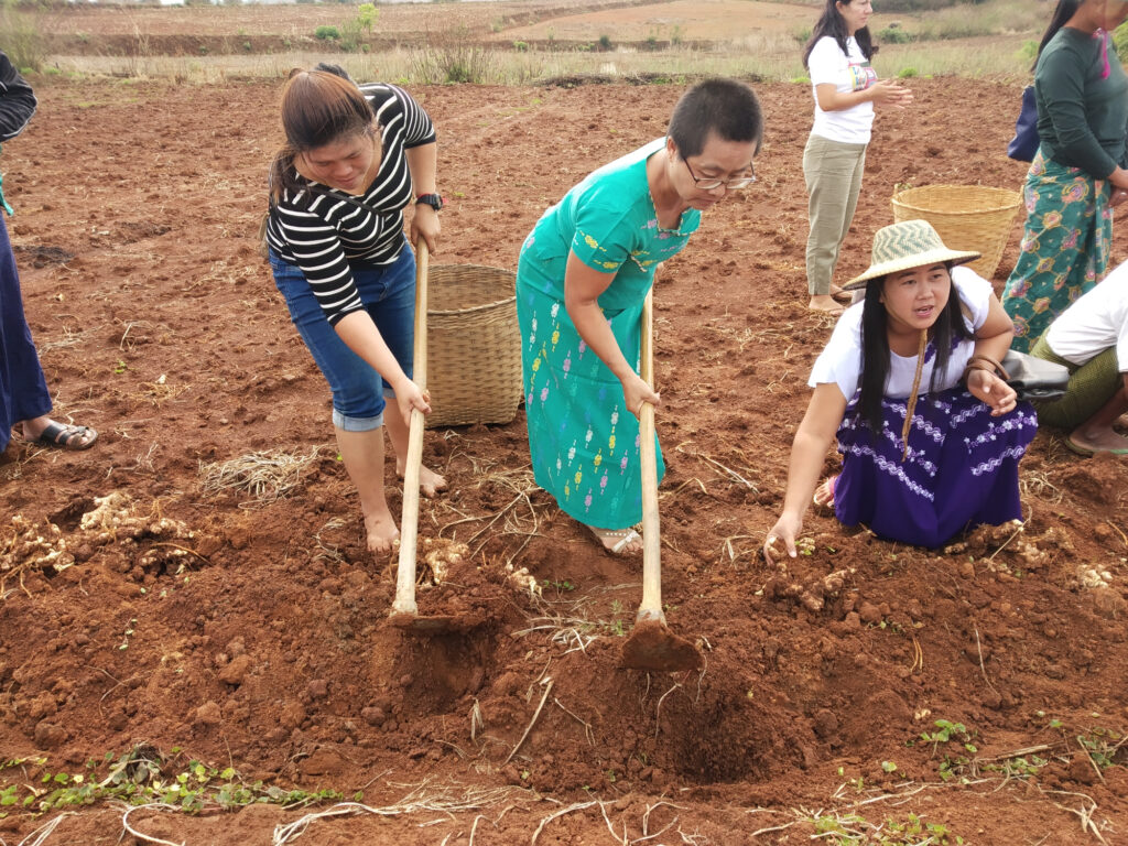 Daw Sandar Aye is promoting OSH in Myanmar’s ginger sector - Vision ...